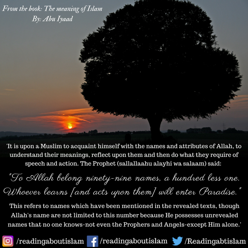 The meaning of Islam – Reading about Islam